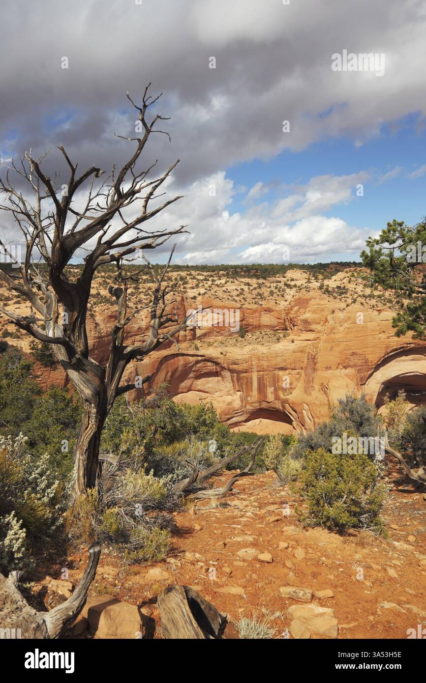 Historical Relic - Navajo Monument. Prehistoric cave in a giant canyon ...