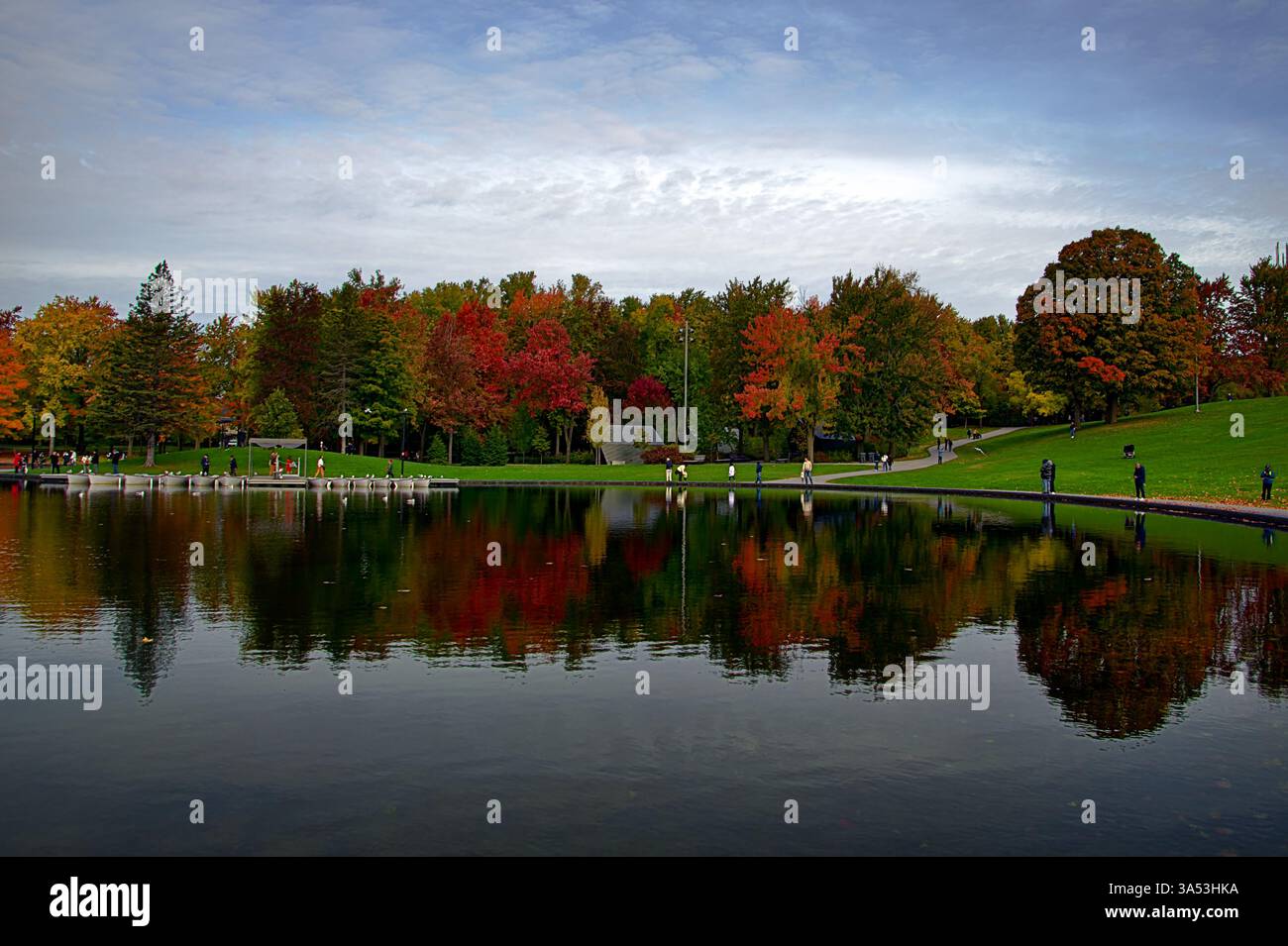 Colourful trees and their reflection in Beaver Lake, Mont Royal Park ...