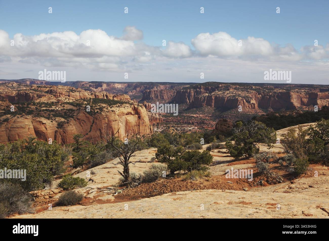 Historical Relic - Navajo Monument. Colossal red sandstone canyon in ...