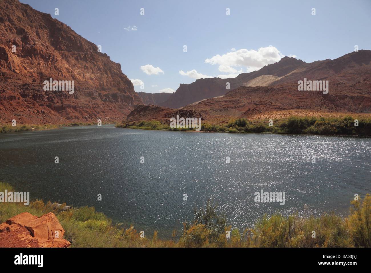 The magnificent river Colorado. A cool stream between mountains of red ...