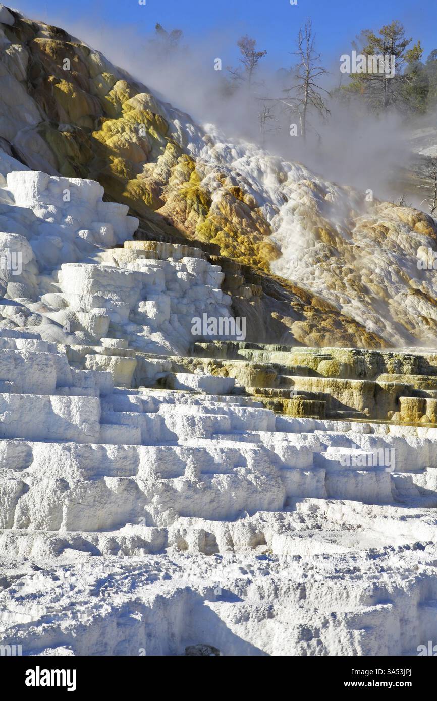 The well-known calcareous formations travertine in Yellowstone park ...