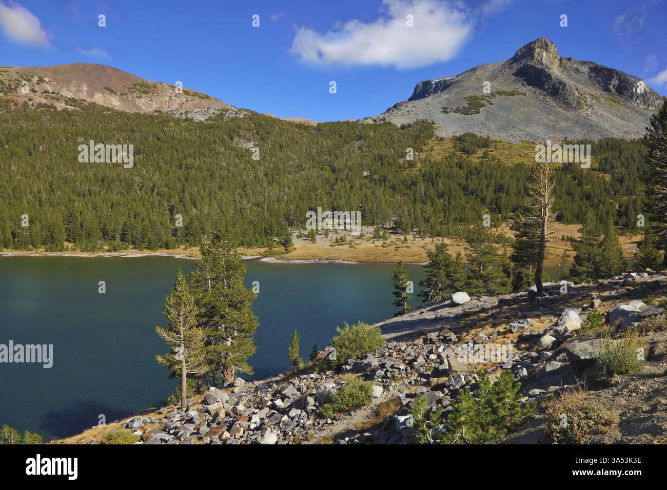 Stony coast of mountain lake Elleri in park Yosemite, the USA Stock ...