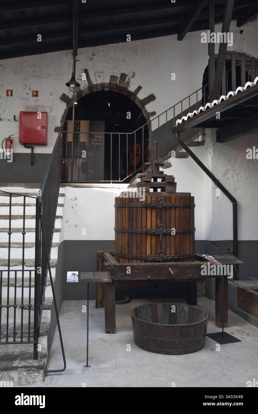 Press for wine in an old and successful winery. Production of precious ...