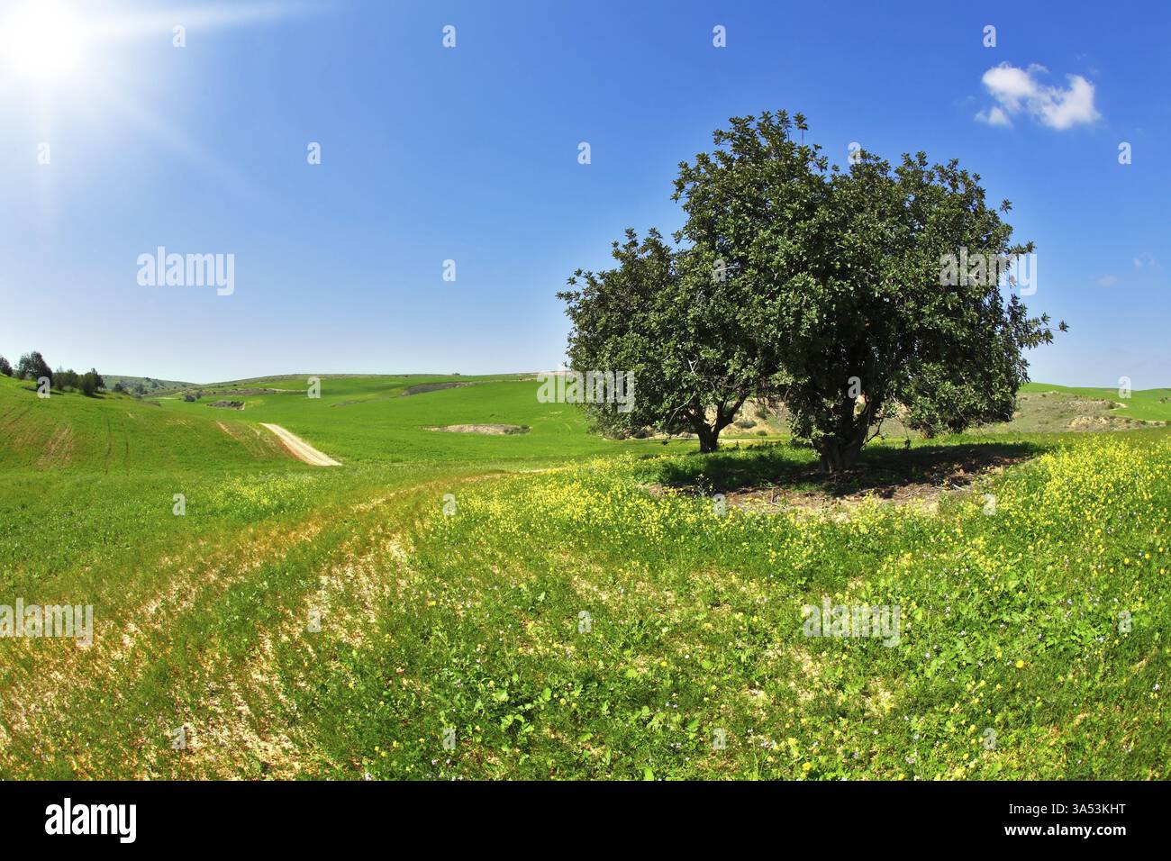 Warm spring day fields hi-res stock photography and images - Alamy