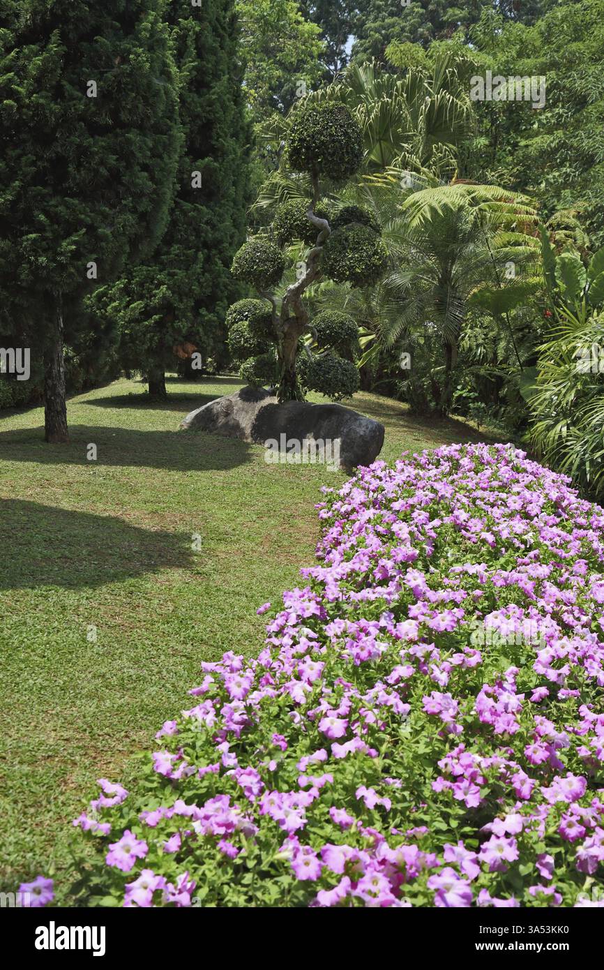 The most beautiful park in Southeast Asia. A masterpiece of landscape ...