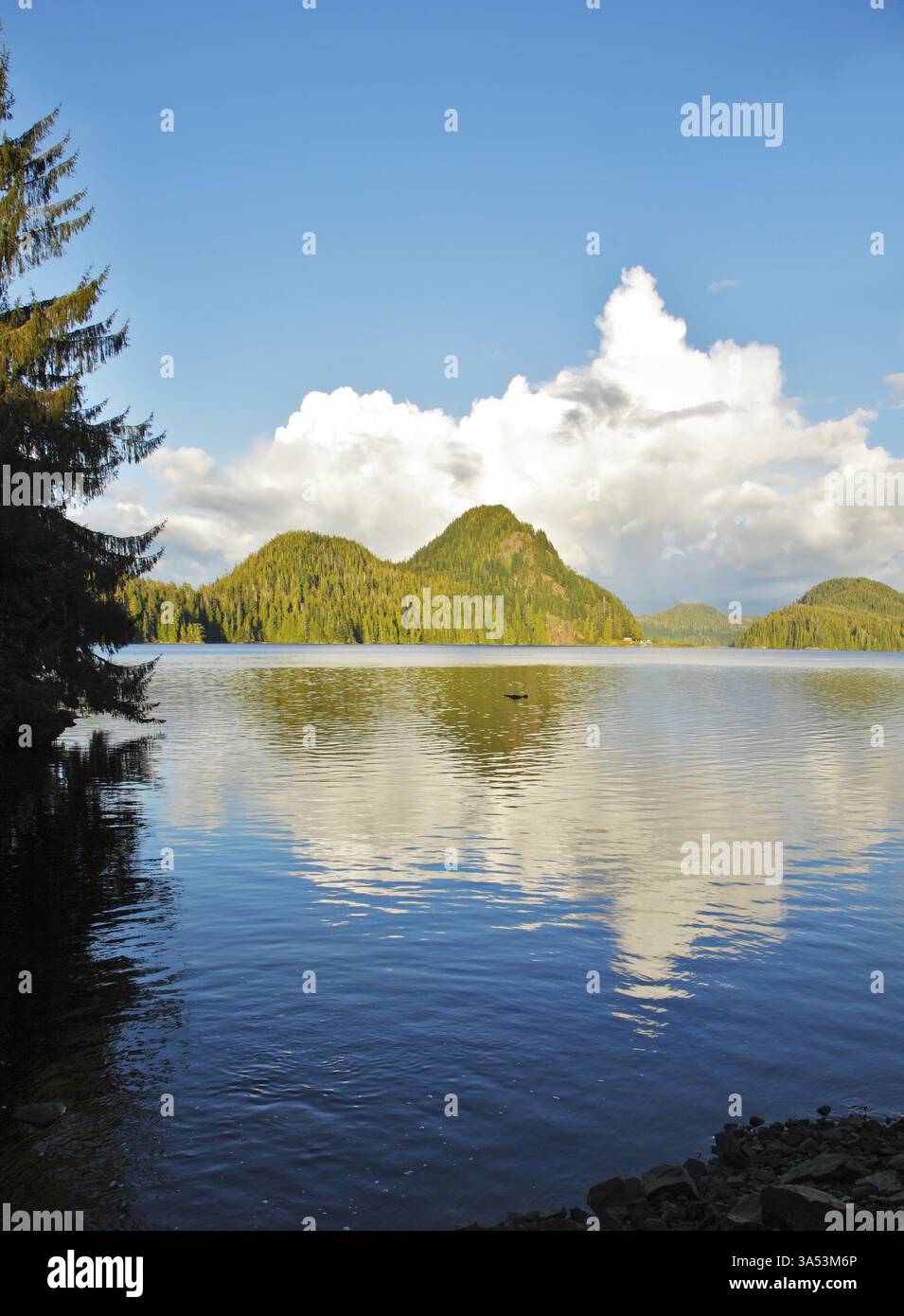 Cold ocean passage. Island Vancouver Stock Photo - Alamy