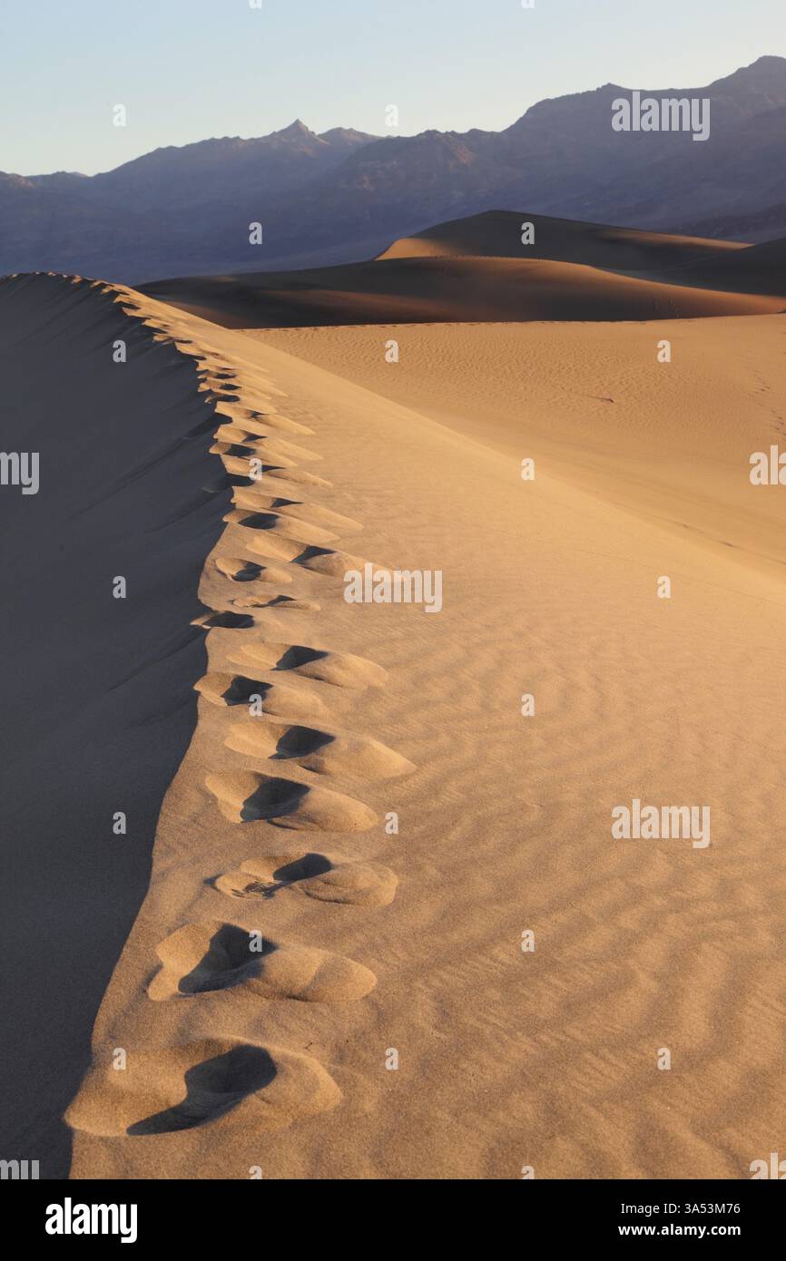 Sand dunes at Mesquite Flat, California. Tourists have left deep marks ...
