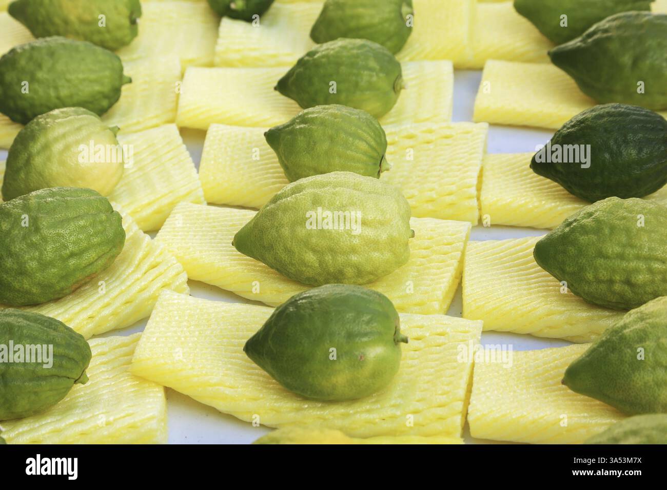 The Jewish holiday of Sukkot. Ritual fruit - citrus on the counter pre ...