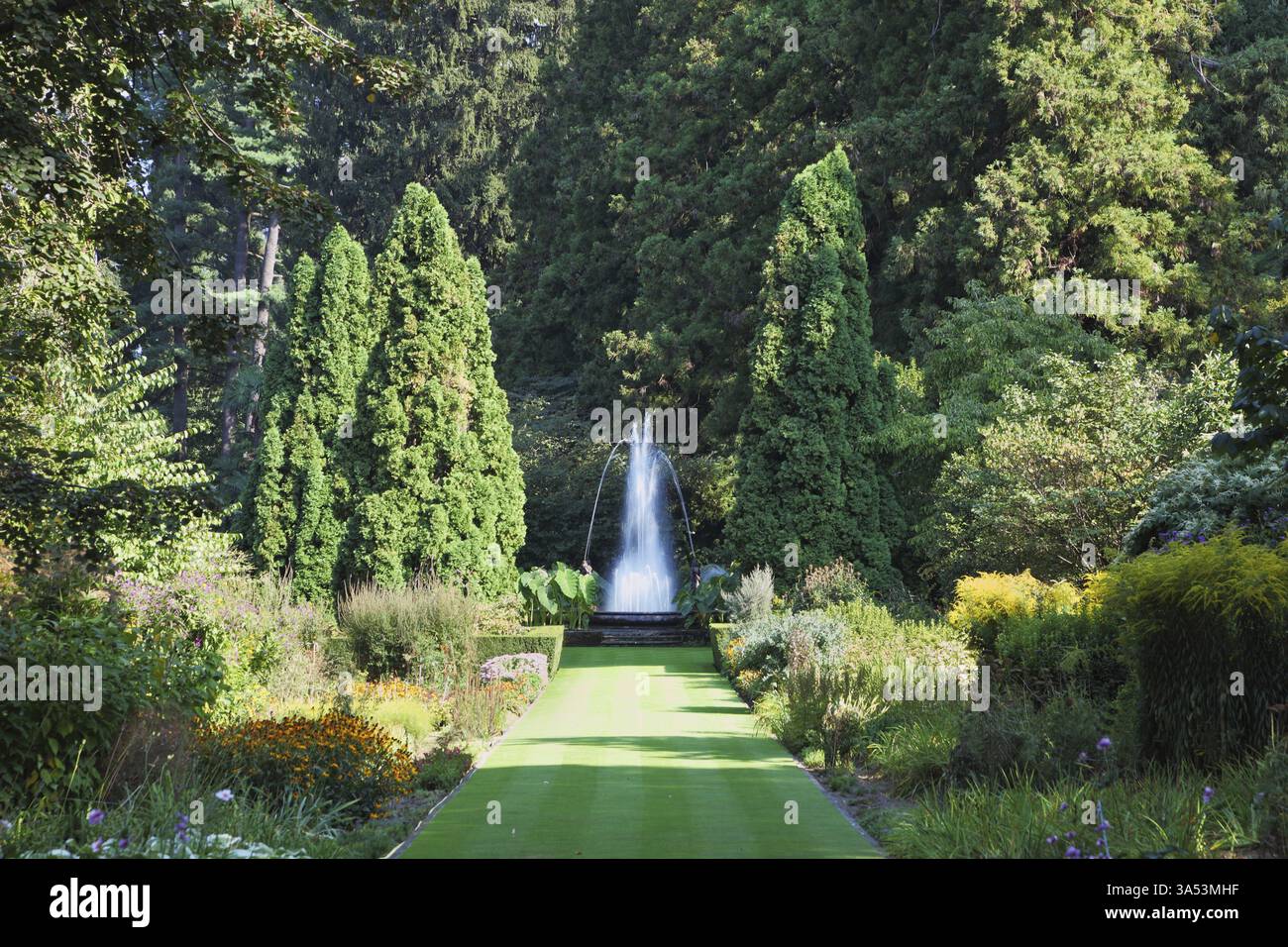 Magnificent park. Green grass road to the charming fountain Stock Photo ...