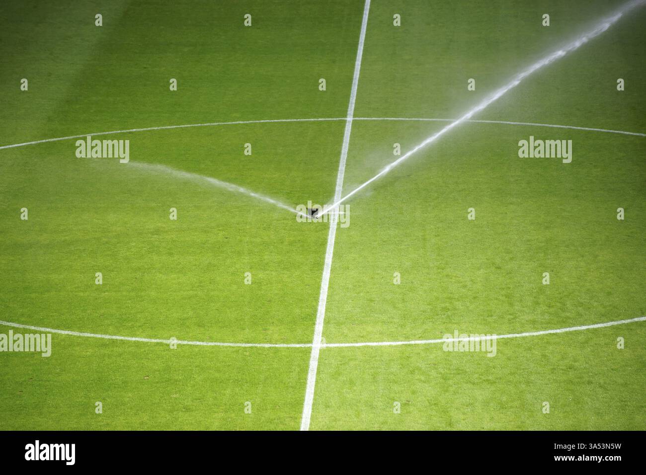 The green turf of a football pitch with an irrigation system Stock ...