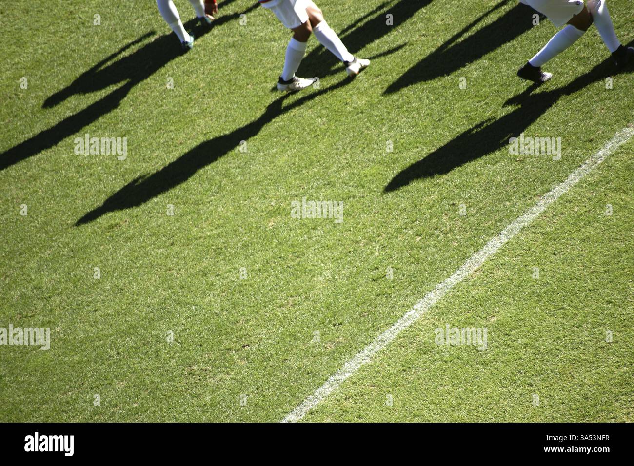 The shadows of football players during warm-up exercises on the green ...
