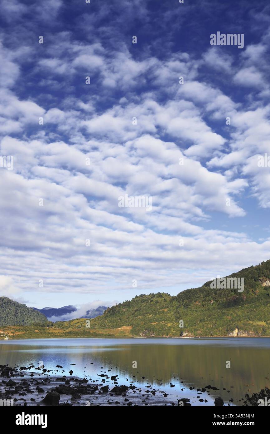 Stony shallows. The wonderful summer day in the shallow river. Chilean ...