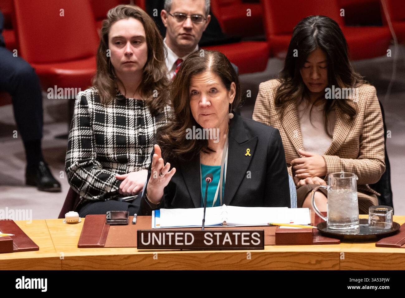 New York, NY, March 20, 2025: Ambassador Dorothy Shea of USA speaks ...