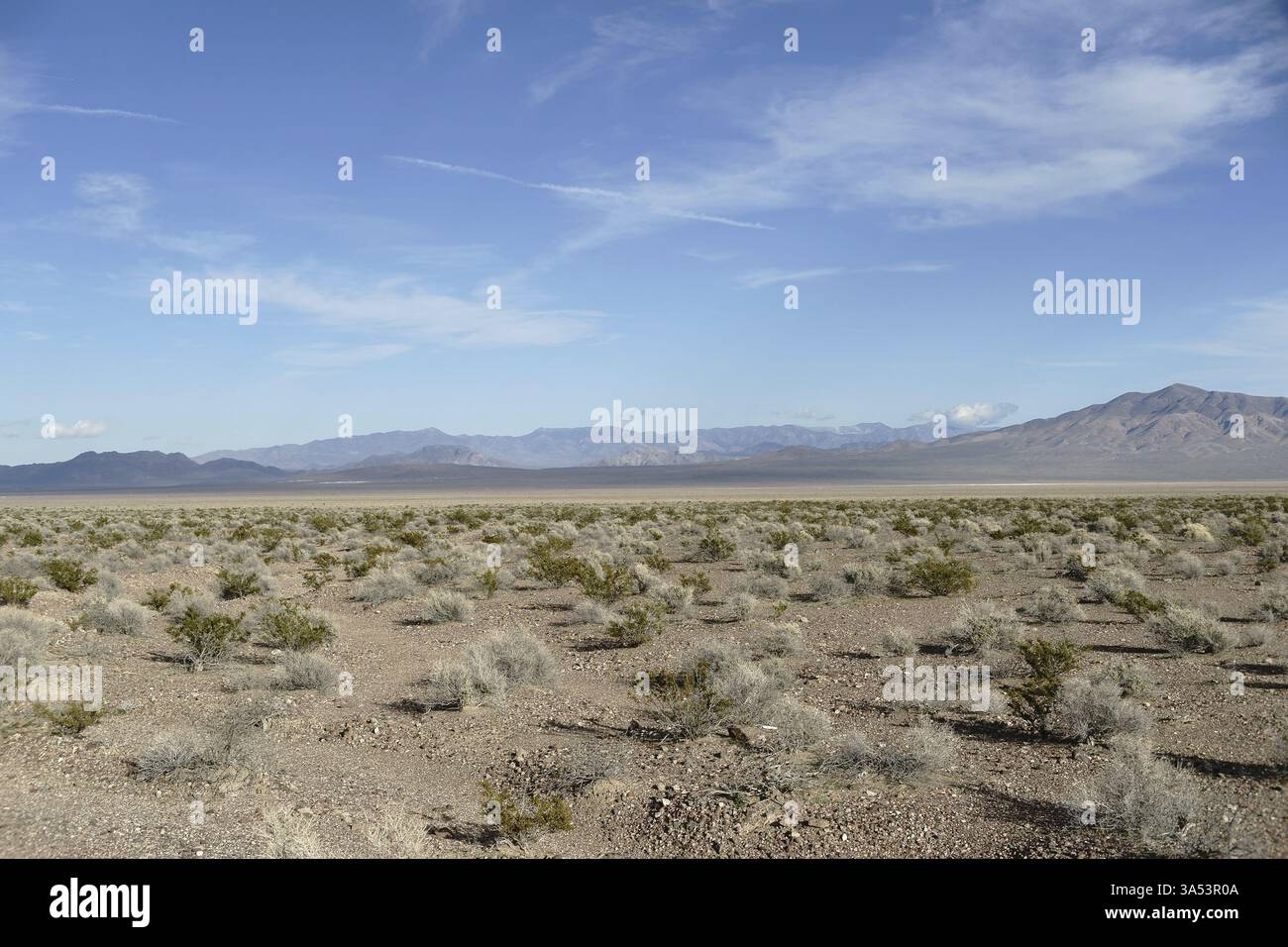 The panorama of a barren Mojave Desert landscape with dry plants and ...