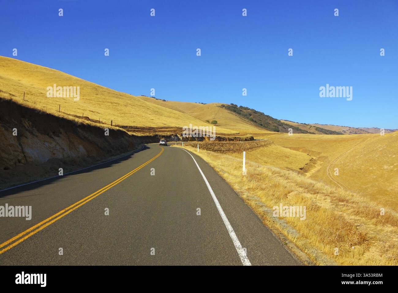 American roads. The magnificent American road passes between autumn ...