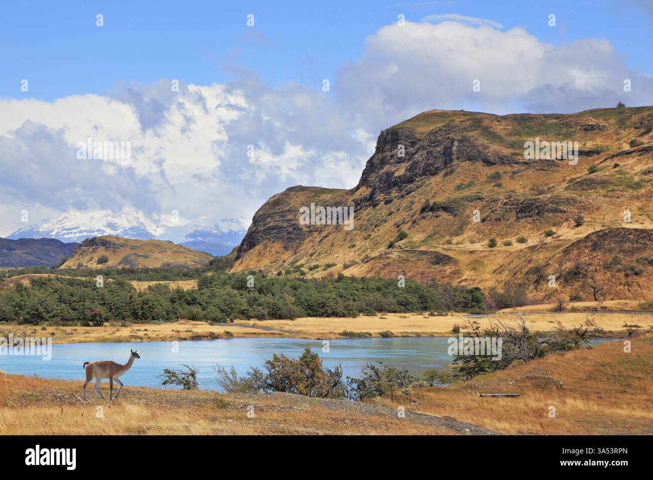 Cold summer in Chile. National park to Torres del Paine - a graceful ...