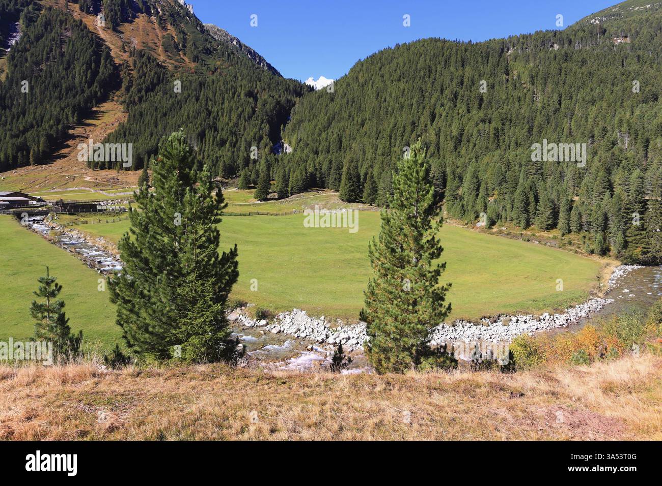Some fast transparent streamlets connect to the rough river. Hillsides ...