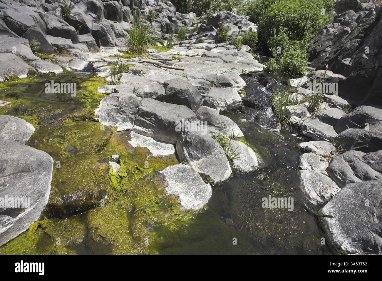Canyon with cut basalt walls and a stream with green ooze Stock Photo ...