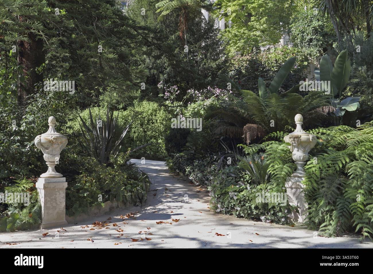 The track in the old park. Artistic statues adorn the shady lane Stock ...