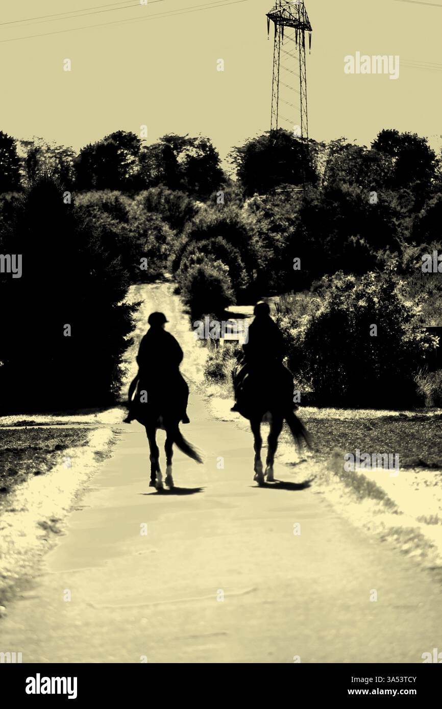 The silhouettes of two riders on two horses on a narrow path Stock ...