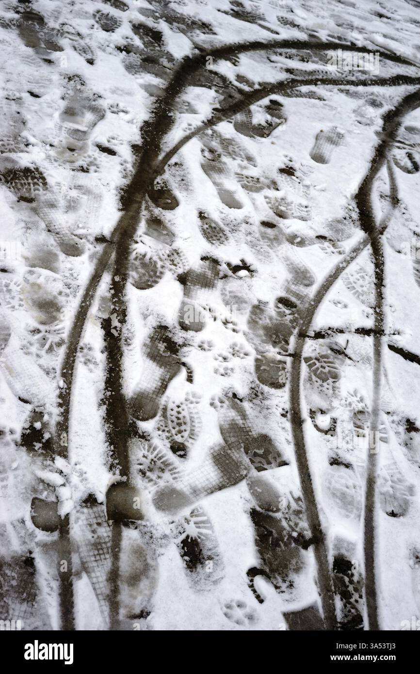 Shoe prints and bicycle tyre prints on the thin layer of snow on a ...