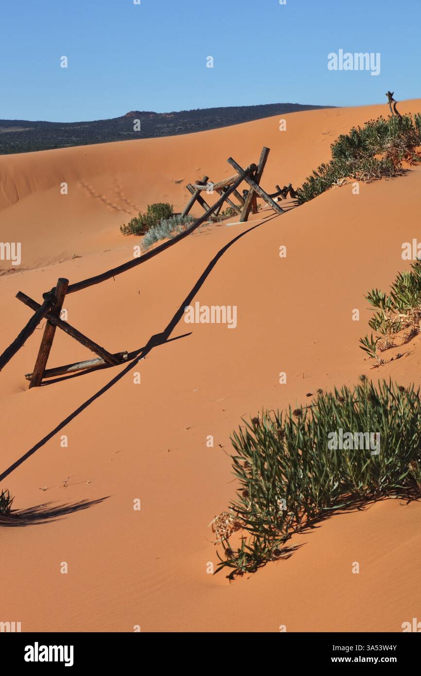 Yellow sand dunes and a homemade fence of sticks for the detention of ...