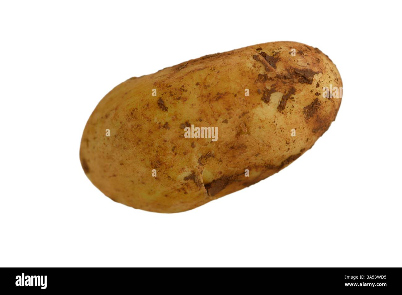 A rustic potato, covered in earthy soil, reveals its natural form while ...