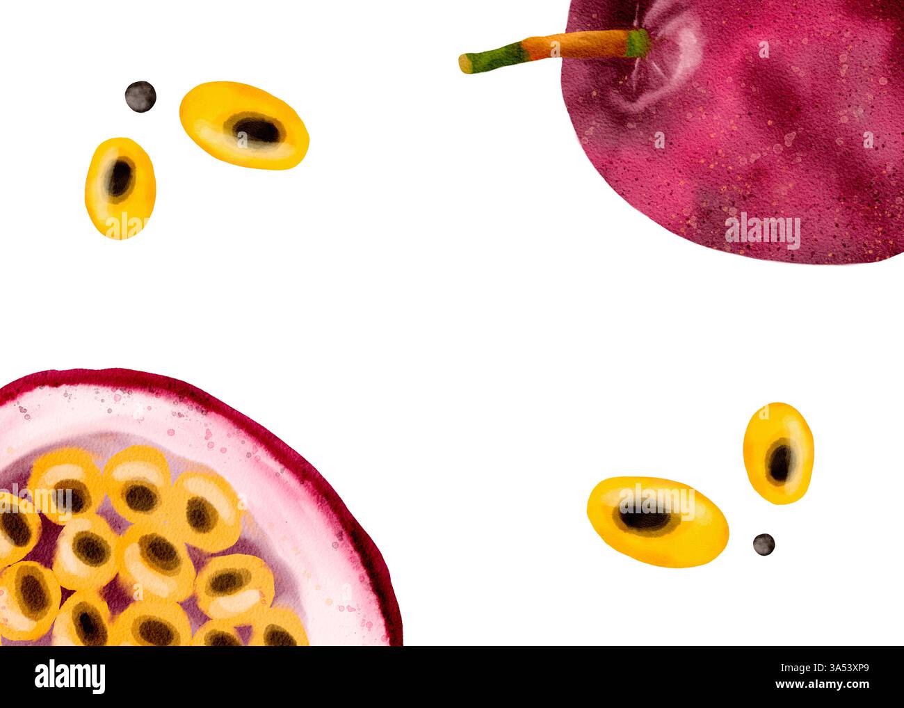 A vibrant arrangement of assorted fruits and seeds that showcases ...