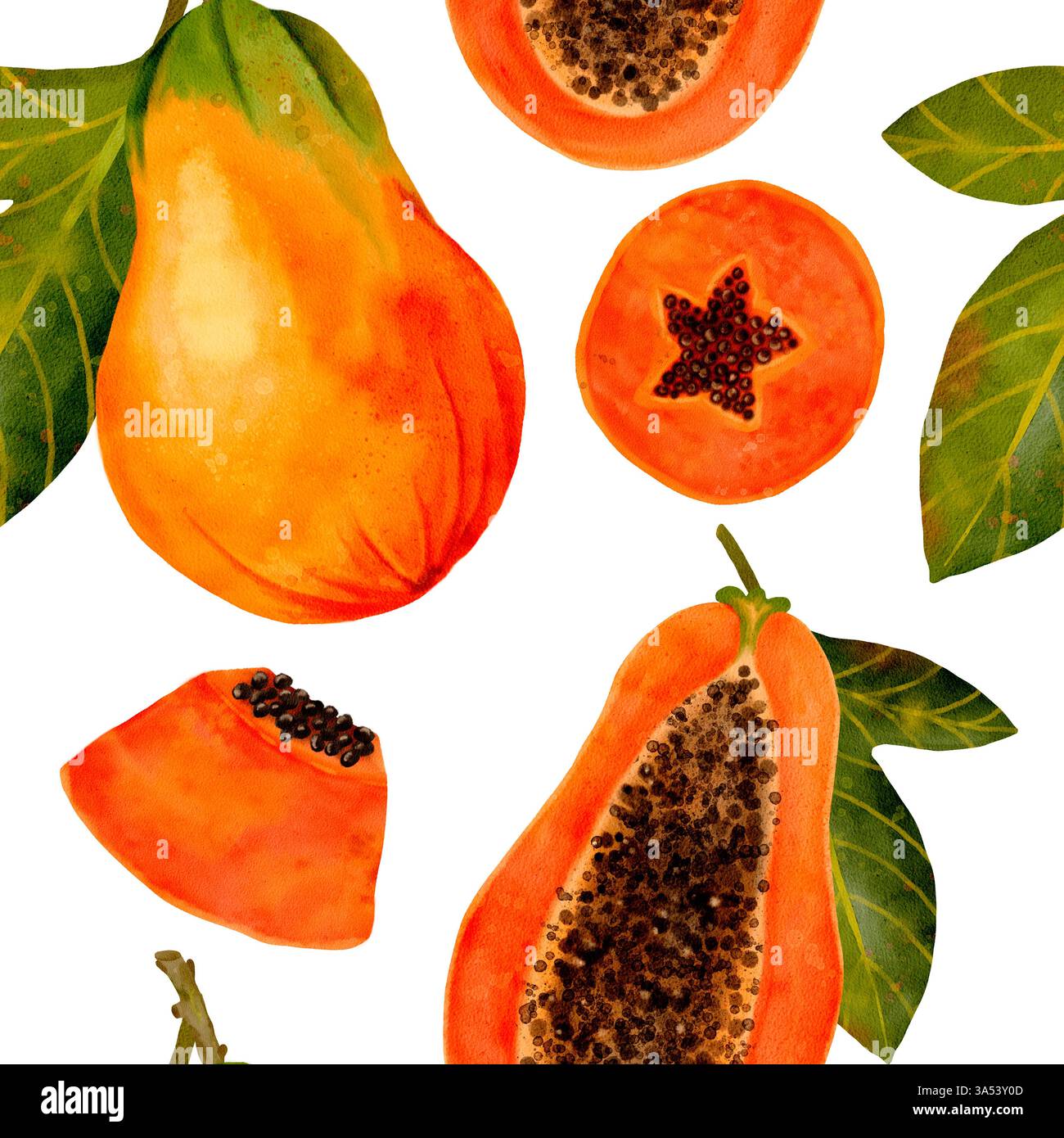 Beautiful and colorful illustrations of papaya fruit are showcasing its ...