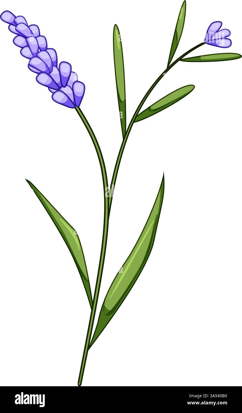 gold lavender cartoon vector illustration Stock Vector Image & Art - Alamy