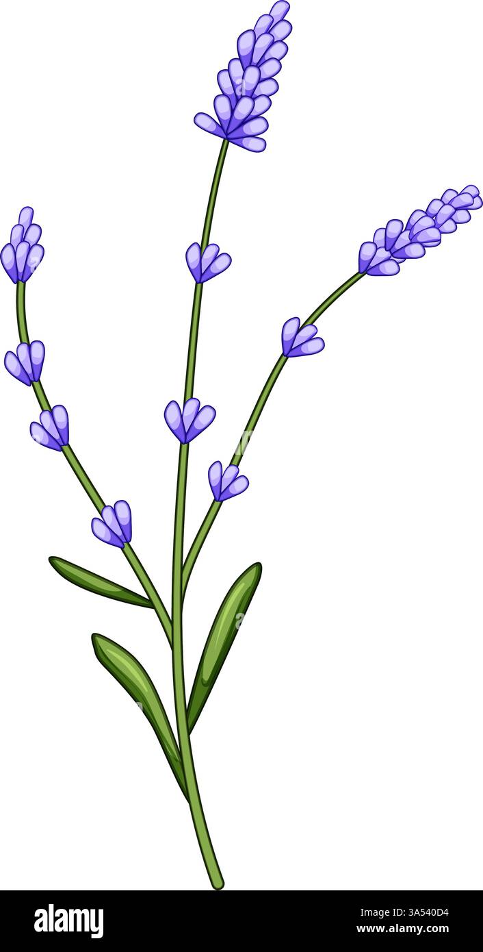 pot lavender cartoon vector illustration Stock Vector Image & Art - Alamy