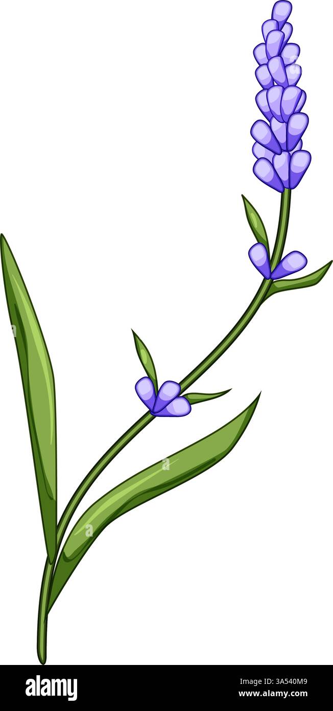 ireland lavender cartoon vector illustration Stock Vector Image & Art ...