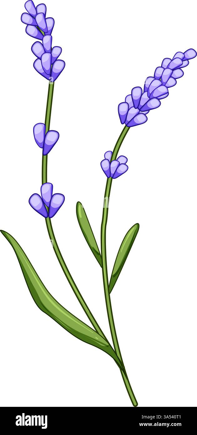 luck lavender cartoon vector illustration Stock Vector Image & Art - Alamy