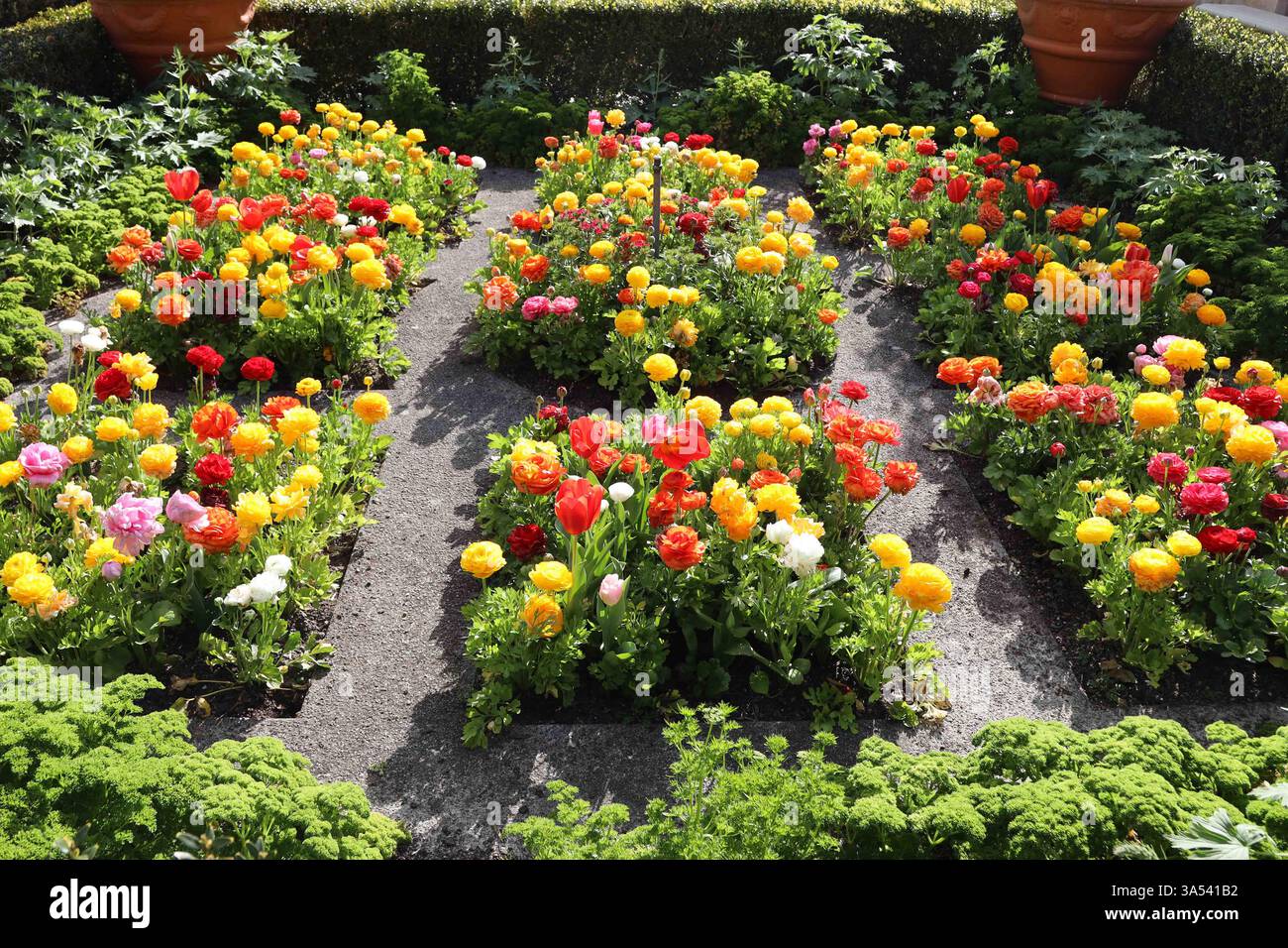 Colorful plant combinations hi-res stock photography and images - Alamy