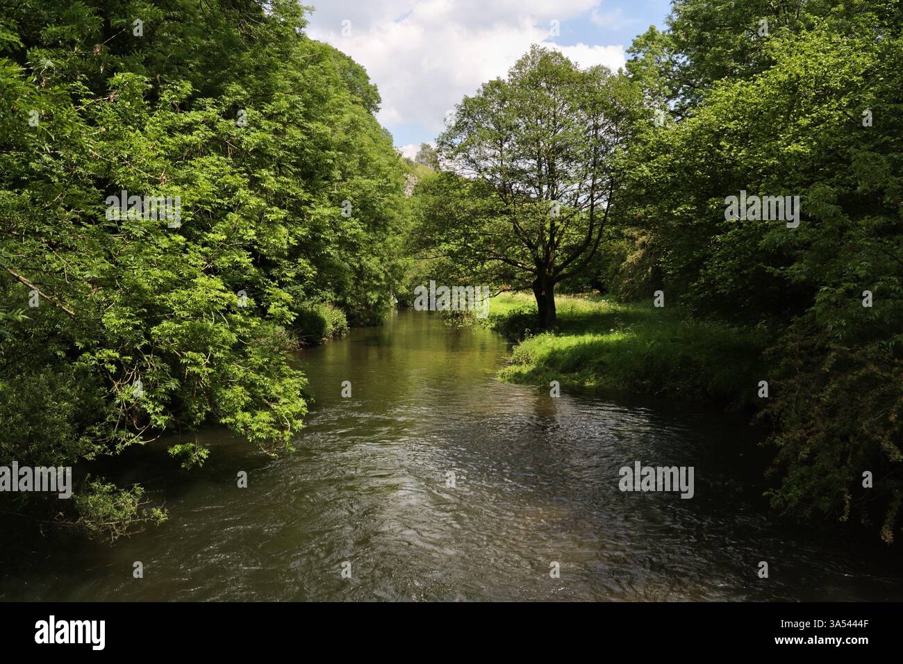 Secluded river Wye in Derbyshire Peak District Woodland, England UK ...