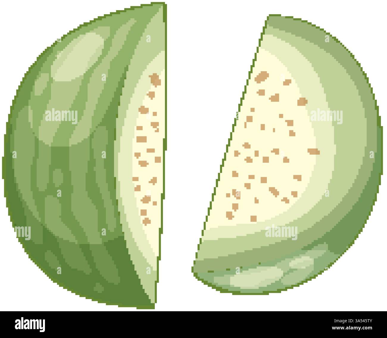 Vector illustration of a sliced green melon with a detailed texture and ...