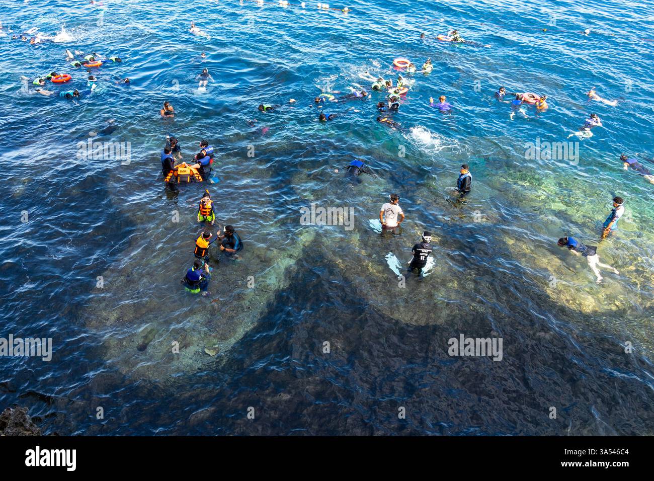 Bohol, Philippines - February 5, 2025: People are swimming with the ...