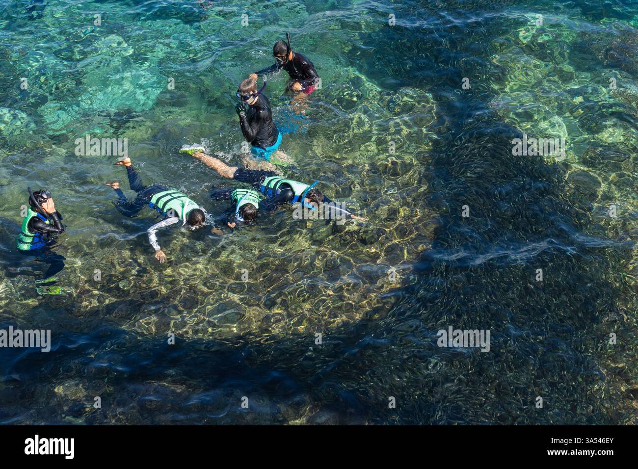 Bohol, Philippines - February 5, 2025: People are swimming with the ...