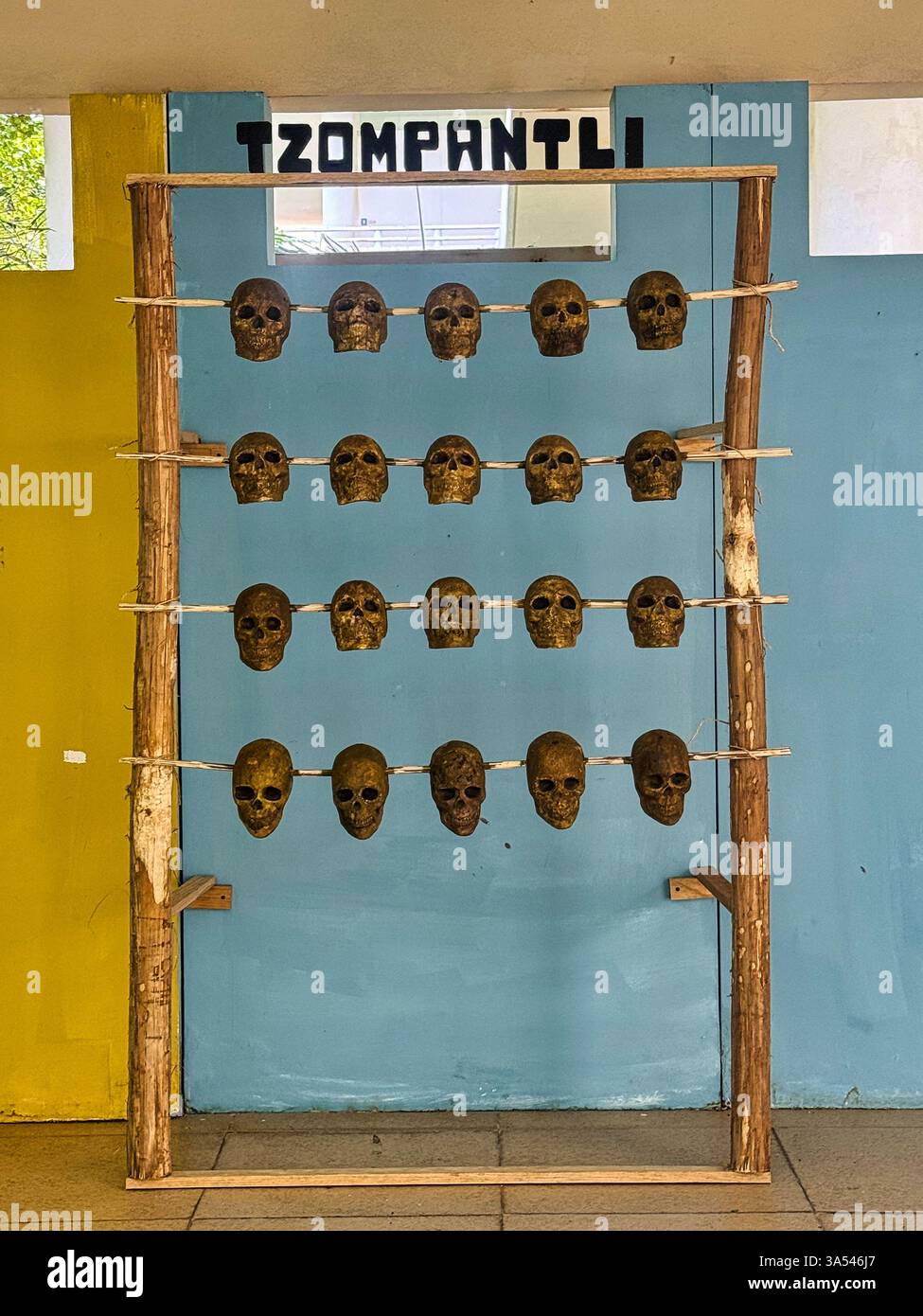 A Tzompantli or a Mayan ritualistic skull rack display of enemy ...