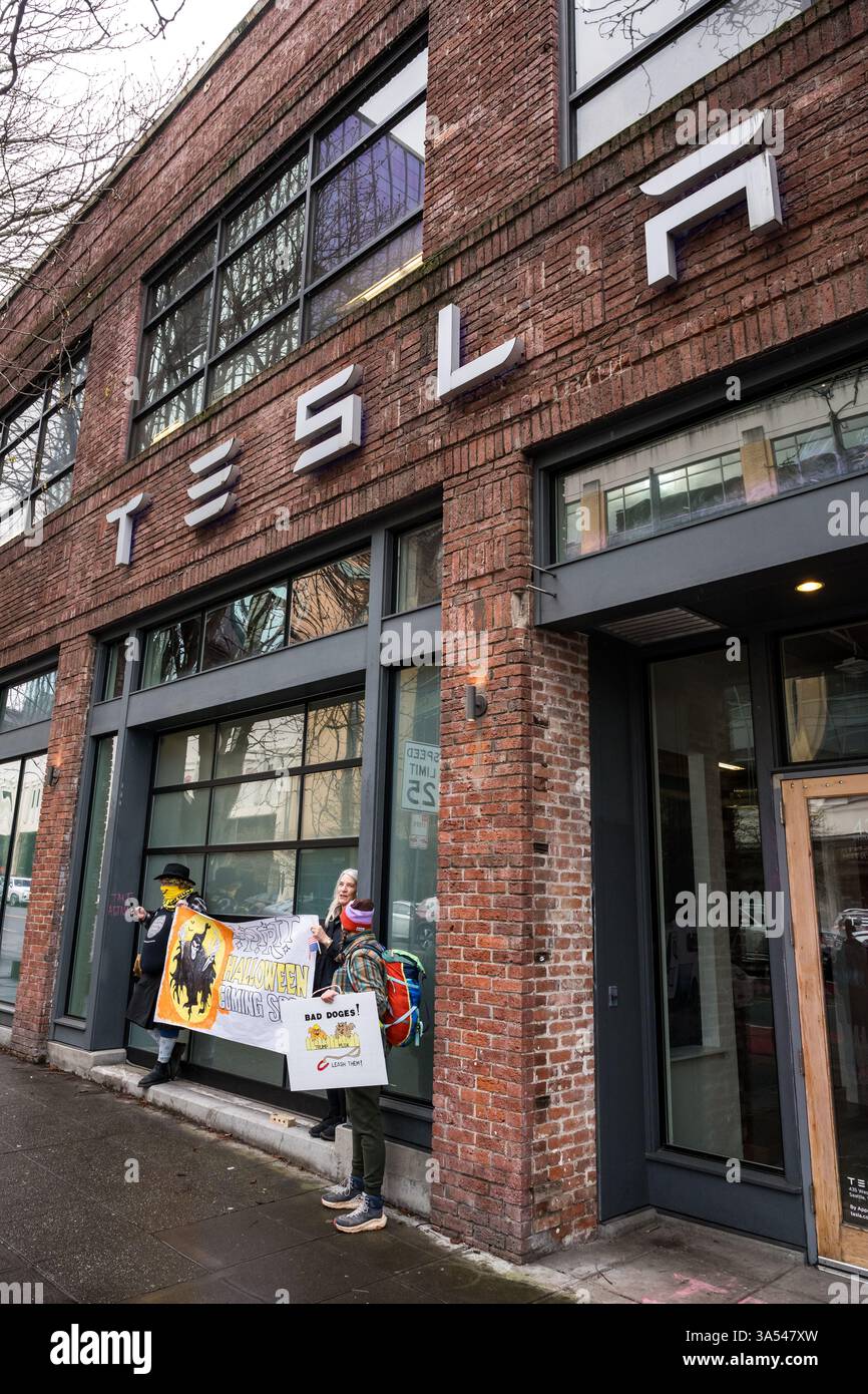 Seattle, USA. 20th Mar 2025. Tesla protestors back again at the South ...