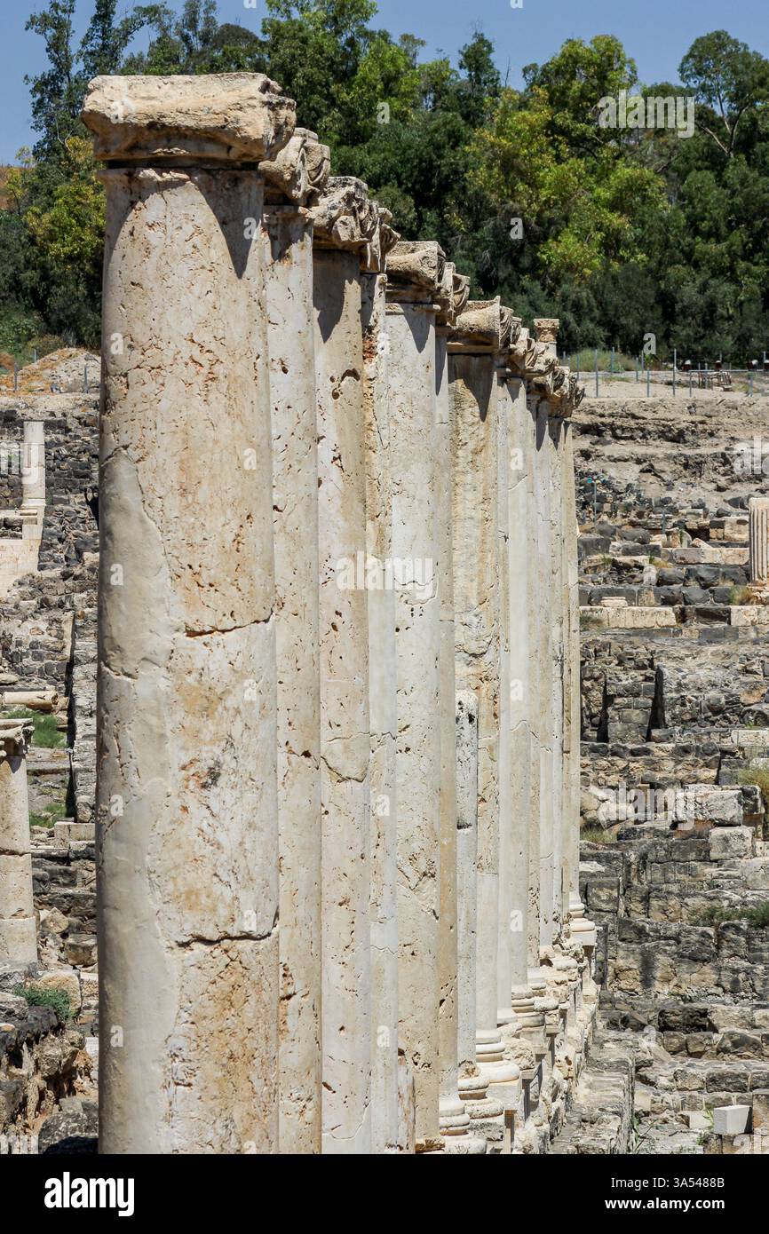 A row of Roman columns at Bet She'an National Park near Beit She'an, Israel Stock Photo - Alamy