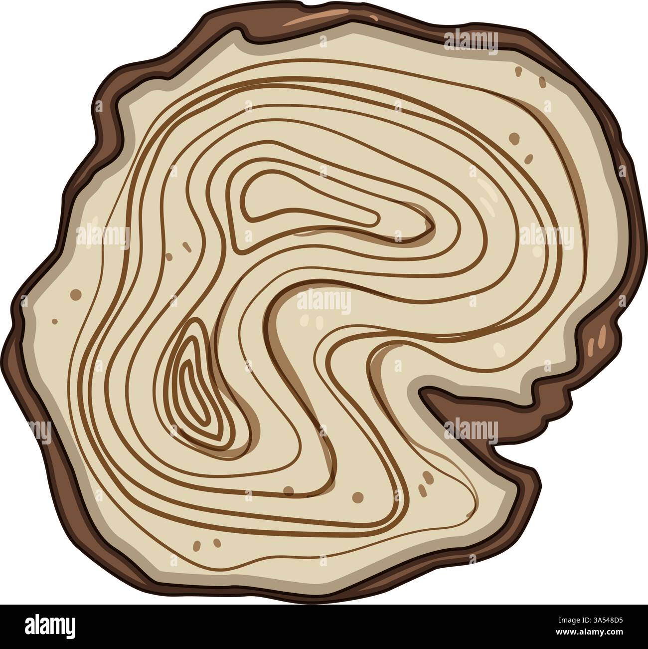 forest tree rings cartoon vector illustration Stock Vector Image & Art ...