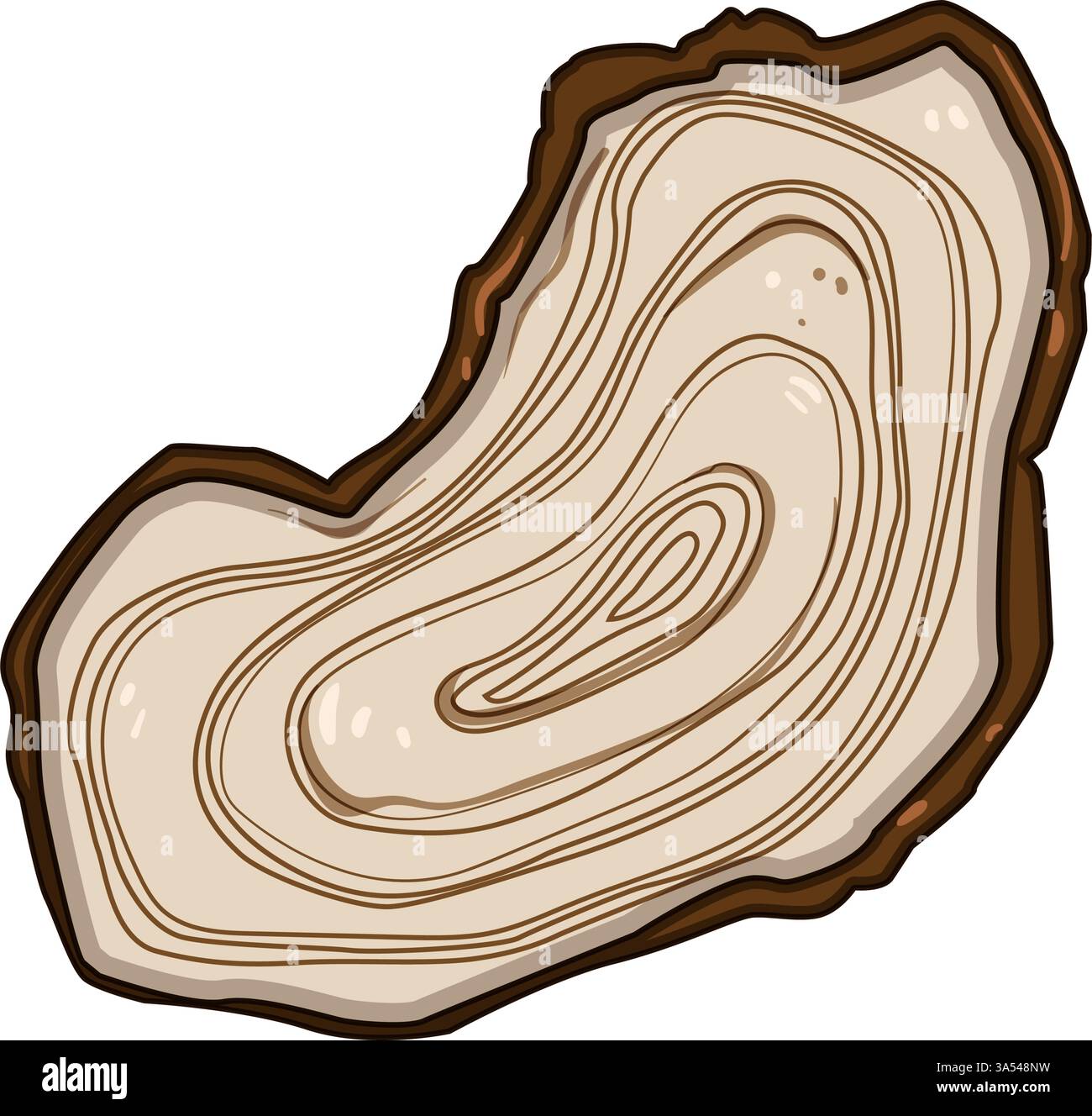 analysis tree rings cartoon vector illustration Stock Vector Image ...