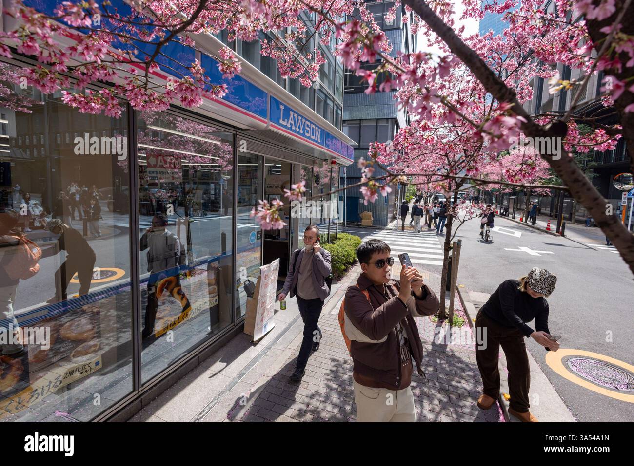 Tokyo, Japan. 13th Mar, 2025. Tourists take photos of early blooming ...