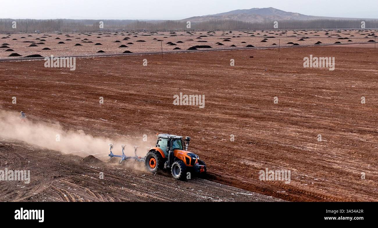 ZHANGYE, CHINA - MARCH 20, 2025 - Farmers use a rotary tiller pulled by ...