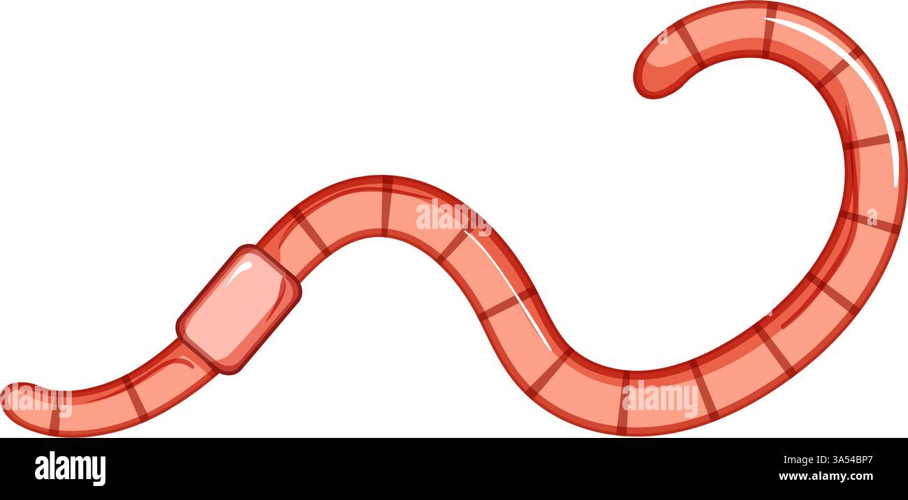 vermiculture worm cartoon vector illustration Stock Vector Image & Art ...