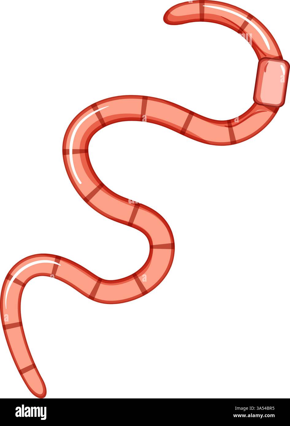 nematode worm cartoon vector illustration Stock Vector Image & Art - Alamy