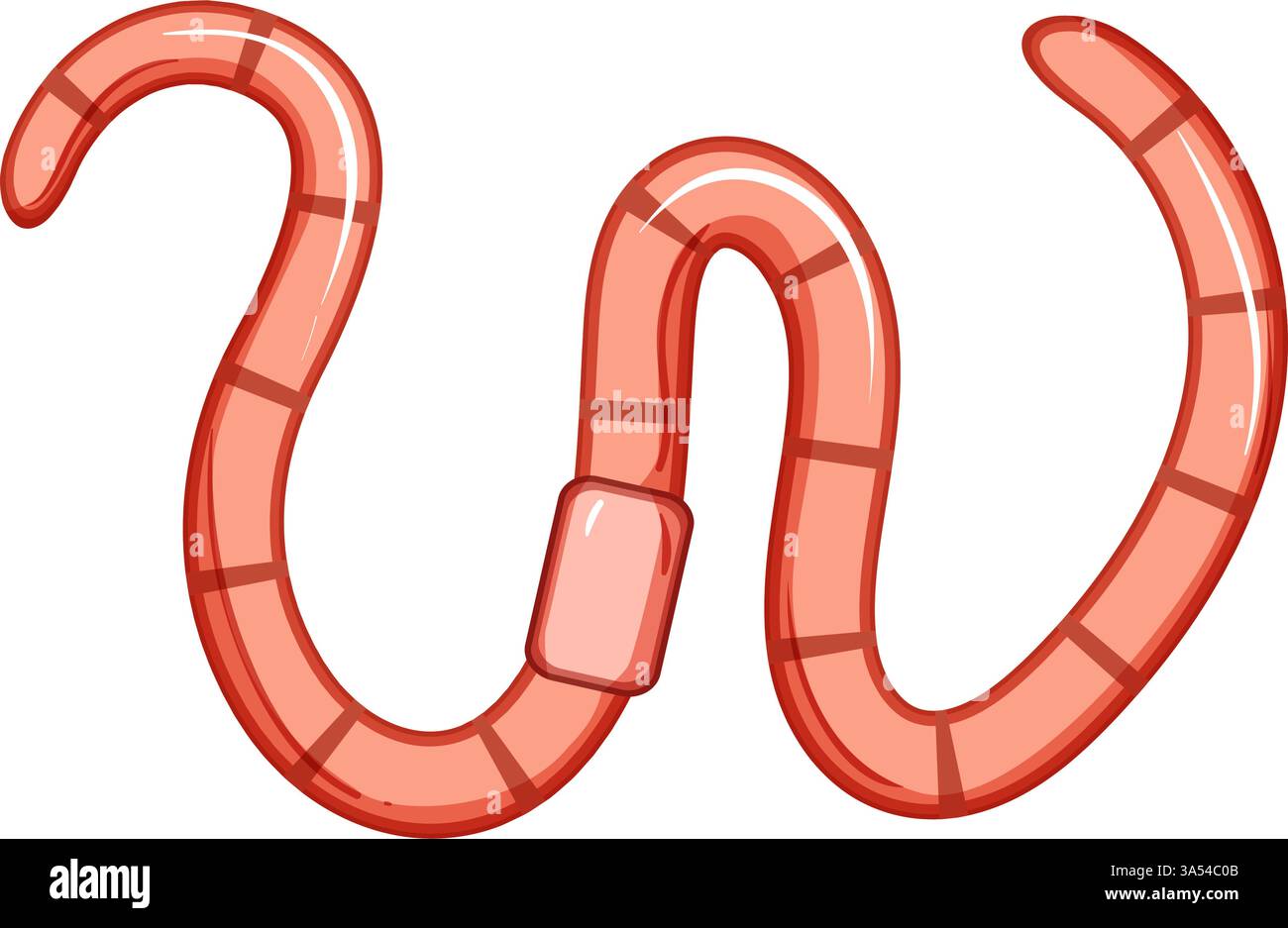 castings worm cartoon vector illustration Stock Vector Image & Art - Alamy
