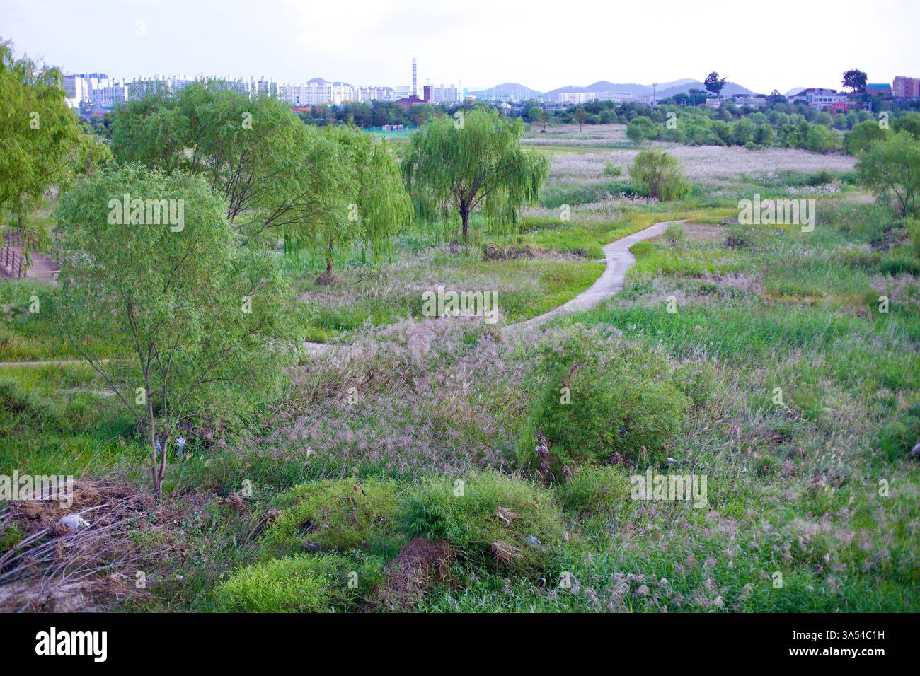 Gwangju, South Korea - September 24, 2020: A winding path meanders ...