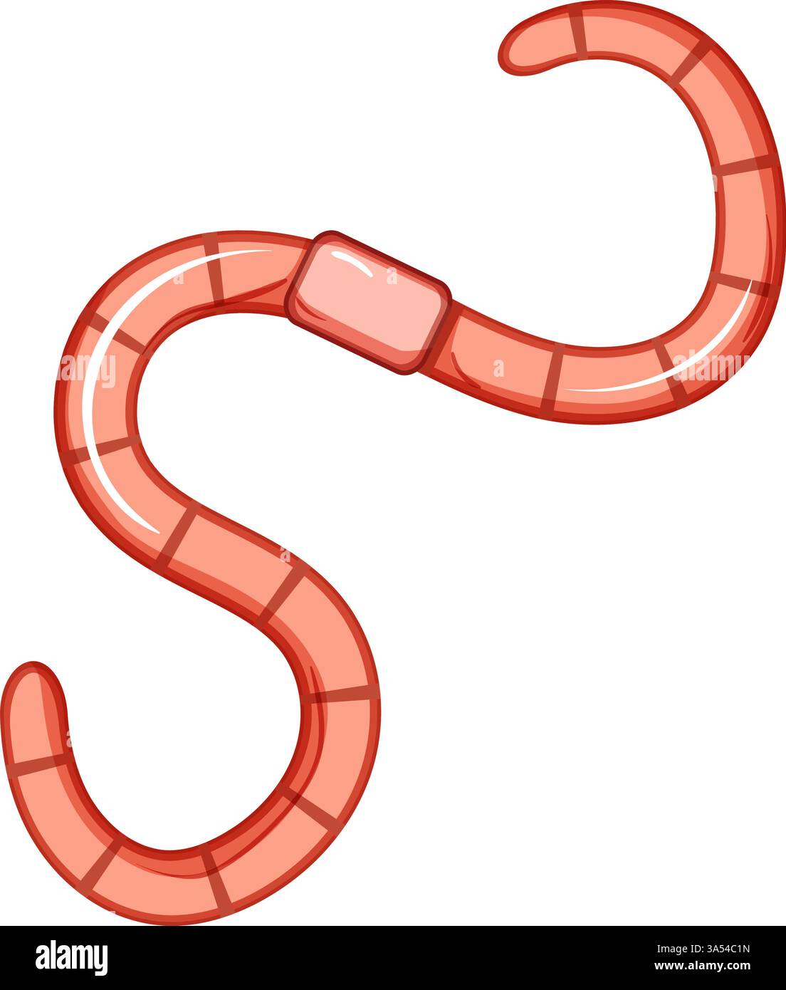 ecosystem worm cartoon vector illustration Stock Vector Image & Art - Alamy